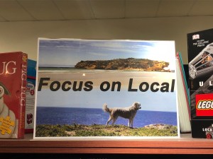 Why You Should Support Your Local Independent Book Store. – WordyNerdBird
